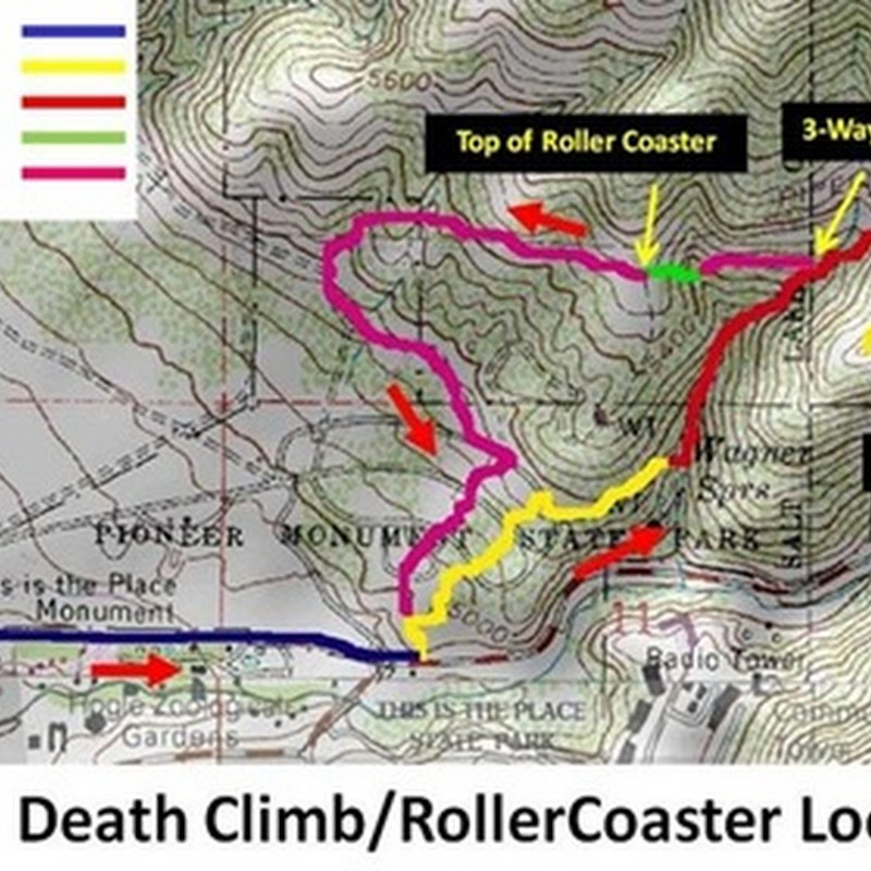 Catalogue of Organisms: Shadow of the Palaeoniscoids